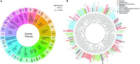 Distribution Of The 20 Cancer Types And A Hierarchical Clustering Of