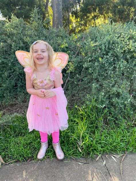 Great Pretenders Gold Sequins Butterfly Dress And Wings On Sale