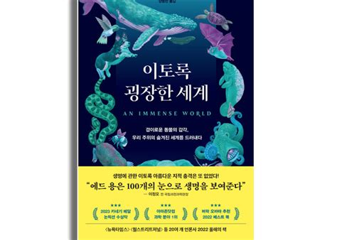 달걀머리