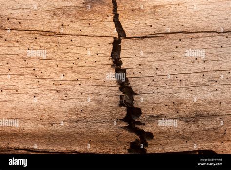 Unsound Hi Res Stock Photography And Images Alamy