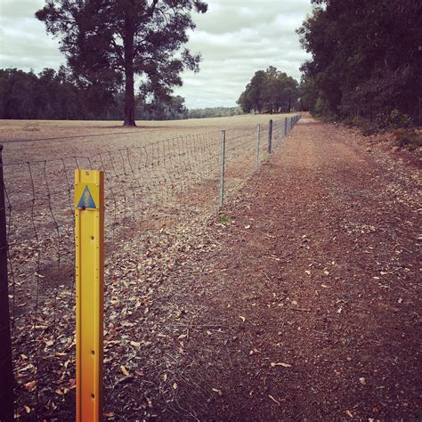 Definition Of ‘type 2 Fun Barkandspark