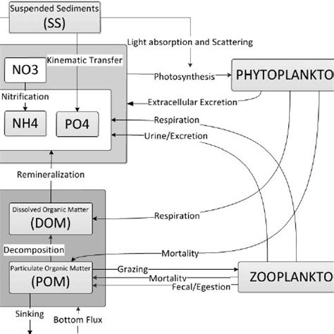 PDF Marine Ecosystem Simulation In The Indonesian Seas