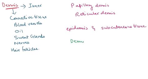 SOLVED Lab Exercise Connective Tissue Art Labeling Activity Types Of Connective Tissue