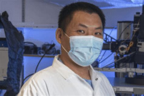 Uci Led Team First To Discover New Neural Circuits That Regulate