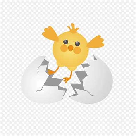 矢量黄色可爱孵化小鸡png图片素材下载图片编号7907646 Png素材网