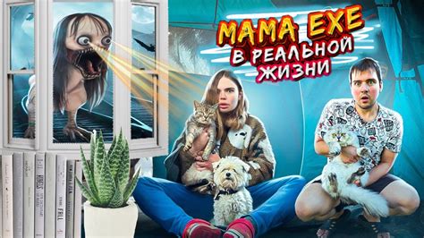Mama Exe В РЕАЛЬНОЙ ЖИЗНИ НАША СОСЕДКА НОЧЬ В ПАЛАТКЕ С КОТАМИ И СОБАКОЙ Youtube
