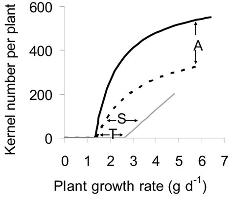 A Schematic Representation Of The Relationship Between Kernel Number Download Scientific