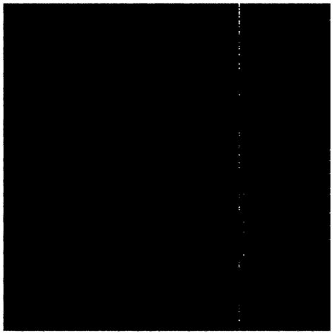 Hyperspectral Image Denoising Method Based On Parameter Free Non Convex Low Rank Matrix