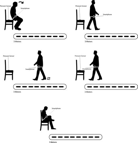 Timed Up And Go Test Execution Phases Download Scientific Diagram