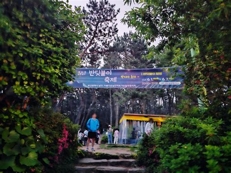 부산 반딧불이 볼수 있는 곳 이기대 큰고개쉼터와 태종대 Feat 유엔남구 반딧불이 축제 실시간 방문후기 네이버 블로그