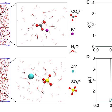 Molecular Dynamics Simulation Of The Local Solvation Environment