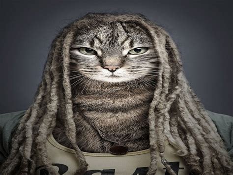 ДУШНИЛА рест 2025 | ВКонтакте