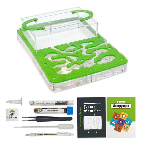 Муравьиные фермы купить в Москве — цены на формикарий с муравьями в интернет магазине Antplanet