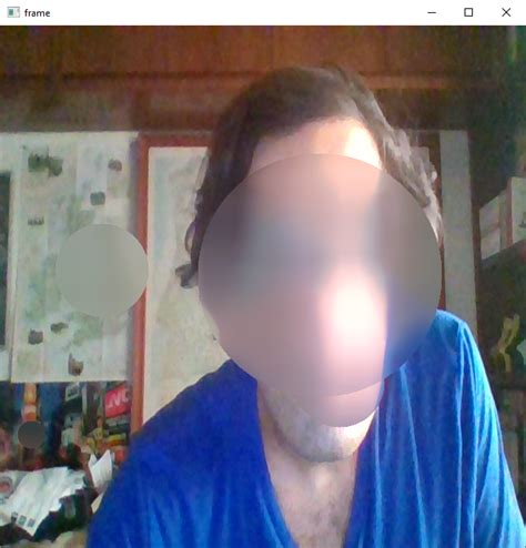 DetecciÓn Y Difuminado De Rostros En ImÁgenes En Python El Programador Chapuzas