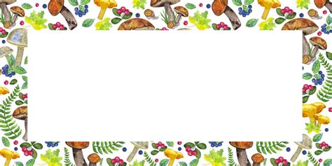 배너 식물 프레임 식용 버섯 잎과 열매 고사리 달팽이 잔디 크랜베리 산 애쉬 손으로 흰색 배경에 분리된 수채화 그림을 그립니다 디자인 요소 버섯에 대한 스톡 벡터 아트 및