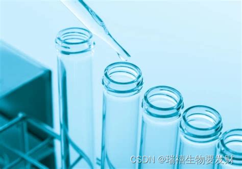 试剂iFluor488 标记链霉亲和素偶联物iFluor 488 SA荧光链霉亲和素偶联物 iFluor 488 标记 CSDN博客
