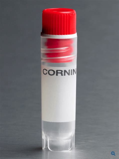 康宁corning 红色盖冻存管 2ml圆形自立样品保存管冷冻管 低温带附件 431420 上海希言科学仪器有限公司