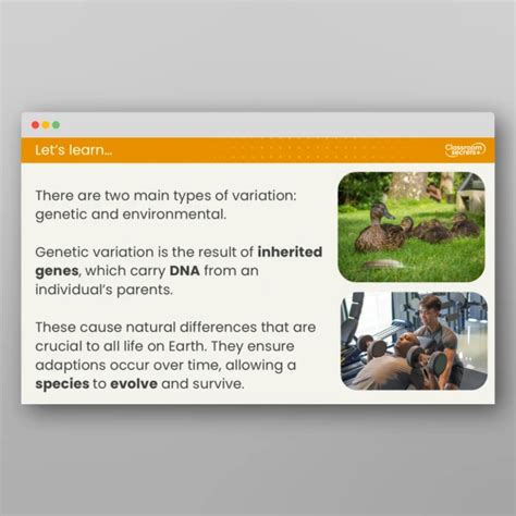 Year 6 What Is Variation Lesson Resource Classroom Secrets