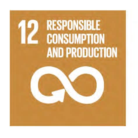 Stabilization And Solidification Processes Stabilization