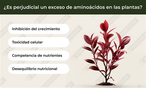Aminoácidos Para Las Plantas【 Guia Completa】☑️