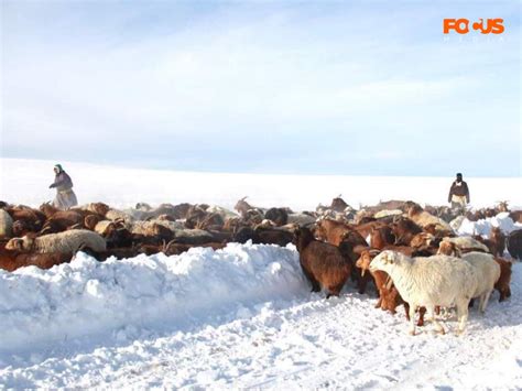 Баян Өлгий Завхан Увс аймгуудад зудын эрсдэл өндөр байна