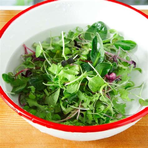 연두부와 마구이샐러드 우리의식탁 레시피