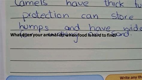 Lamels Have Thick Fu Protection Can Store StudyX