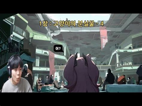 젠존제 장 고양이의 분실물 YouTube
