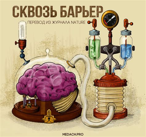 Сквозь барьер