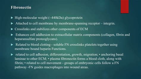 Extracellular Matrix Cell Biology Cellpptx Pptx