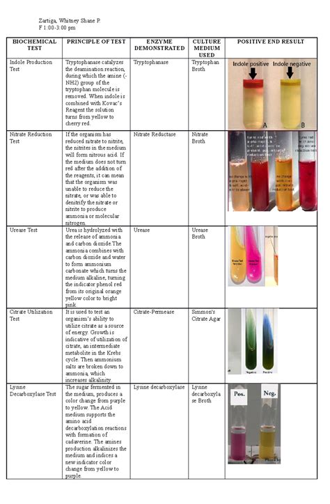Lysine Decarboxylase Test Reaction
