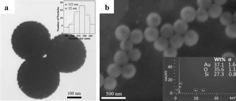 A Tem And B Sem Micrographs Of Sio2au Nanoshells Insets 5a Size