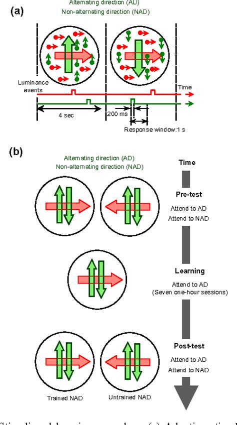 Figure 1 From Learning To Suppress Task Irrelevant Visual Stimuli With Attention Semantic Scholar