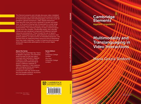 Multimodality And Translanguaging In Video Interactions