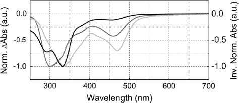 Inverted Normalized Absorption Spectrum Of Au Mes Nps Black And