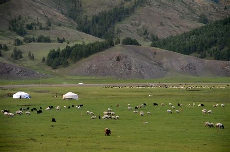 Ирэх сард баруун аймгуудын нутгаар хур тунадас багатай дулаан байна
