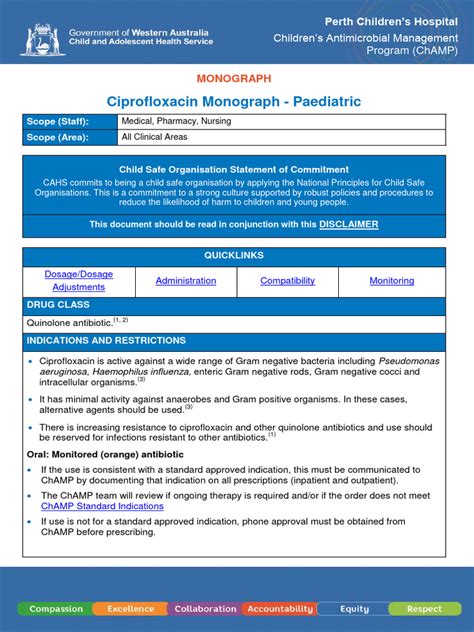 Ciprofloxacin Pdf Gram Negative Bacteria Chemistry