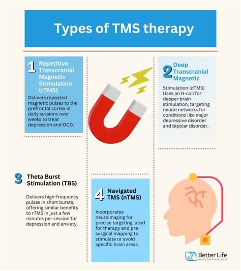 Transcranial Magnetic Stimulation Tms Therapy Definition Principal