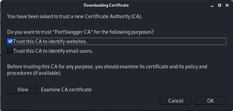 Install Burp Suite Linux Seekgerty