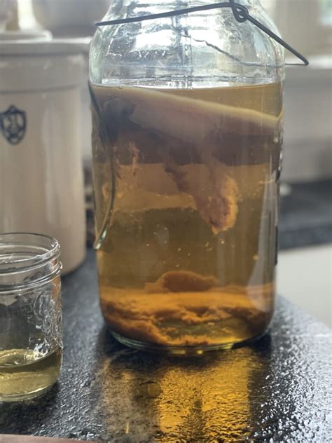Jun Tea Kombucha