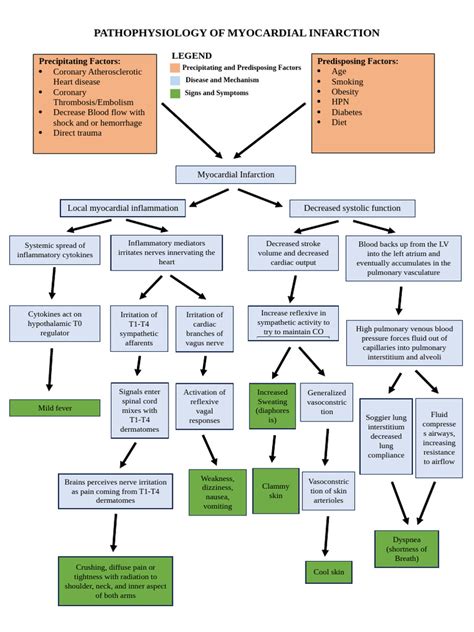 2 Pathophysiology Of Myocardial Infarction Pdf Myocardial Infarction Lung