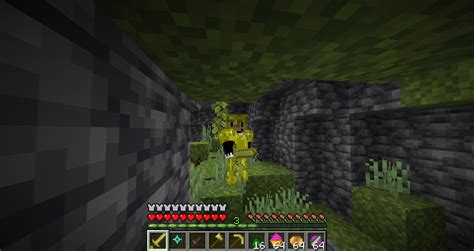 Xlite Forge 1 18 2 Minecraft Mod