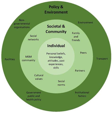 An Adapted Social Ecological Framework Of Factors Influencing Test