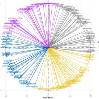 Illustrations Of Differential Expression LncRNAs Segmentation Based On