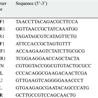 Primers Used In Multiplex PCR Download Scientific Diagram