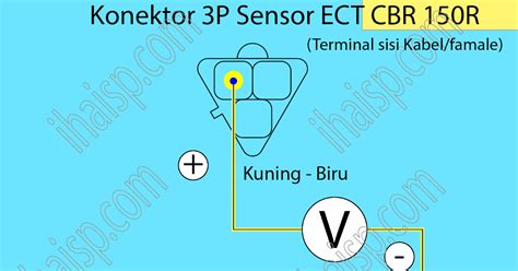 Pemeriksaan Sensor Engine Coolant Temperature Ect Ihaisp