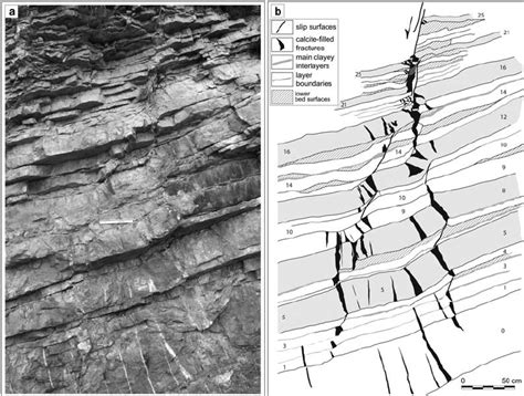 A Photograph Of The Lower Termination Of Fault 2 The Fault Dies
