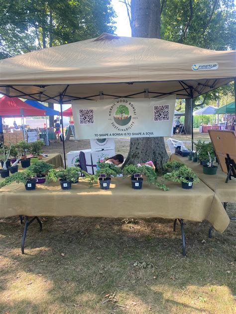 We Extend Our Gratitude To The Nordic Wood Bonsai Facebook