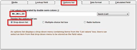 Display A Multiple Choice Field That Includes An Other User Provided