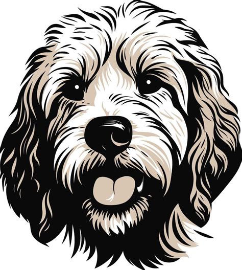 Cockapoo Vector Art Icons And Graphics For Free Download